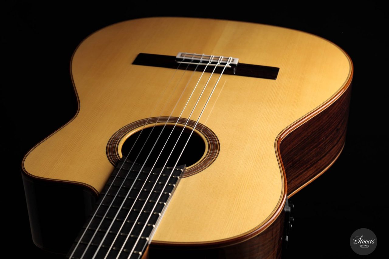 Performer II - Gitarrenatelier Stark Oldenburg