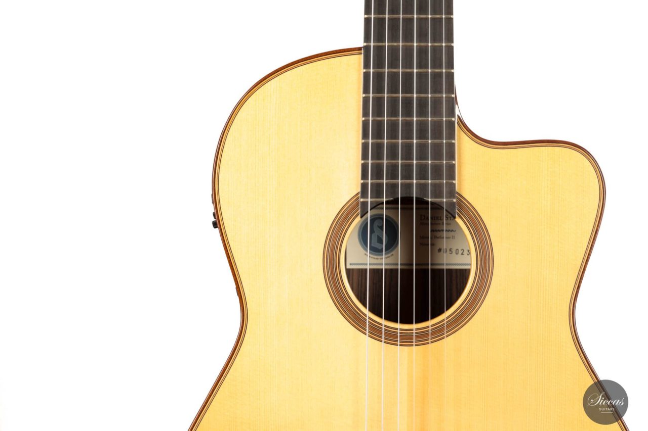 Performer II - Gitarrenatelier Stark Oldenburg