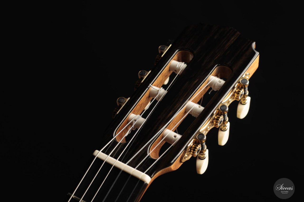 Performer II - Gitarrenatelier Stark Oldenburg