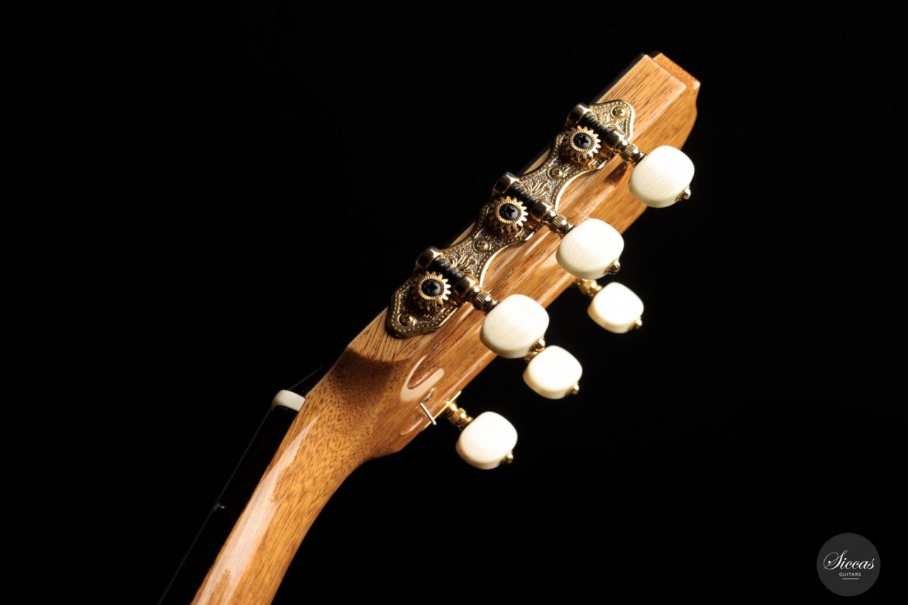 Performer II - Gitarrenatelier Stark Oldenburg